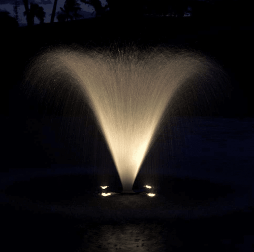 How Long Can a Fish Live Without Food (2025) Fish Care Guide – ProtoPond