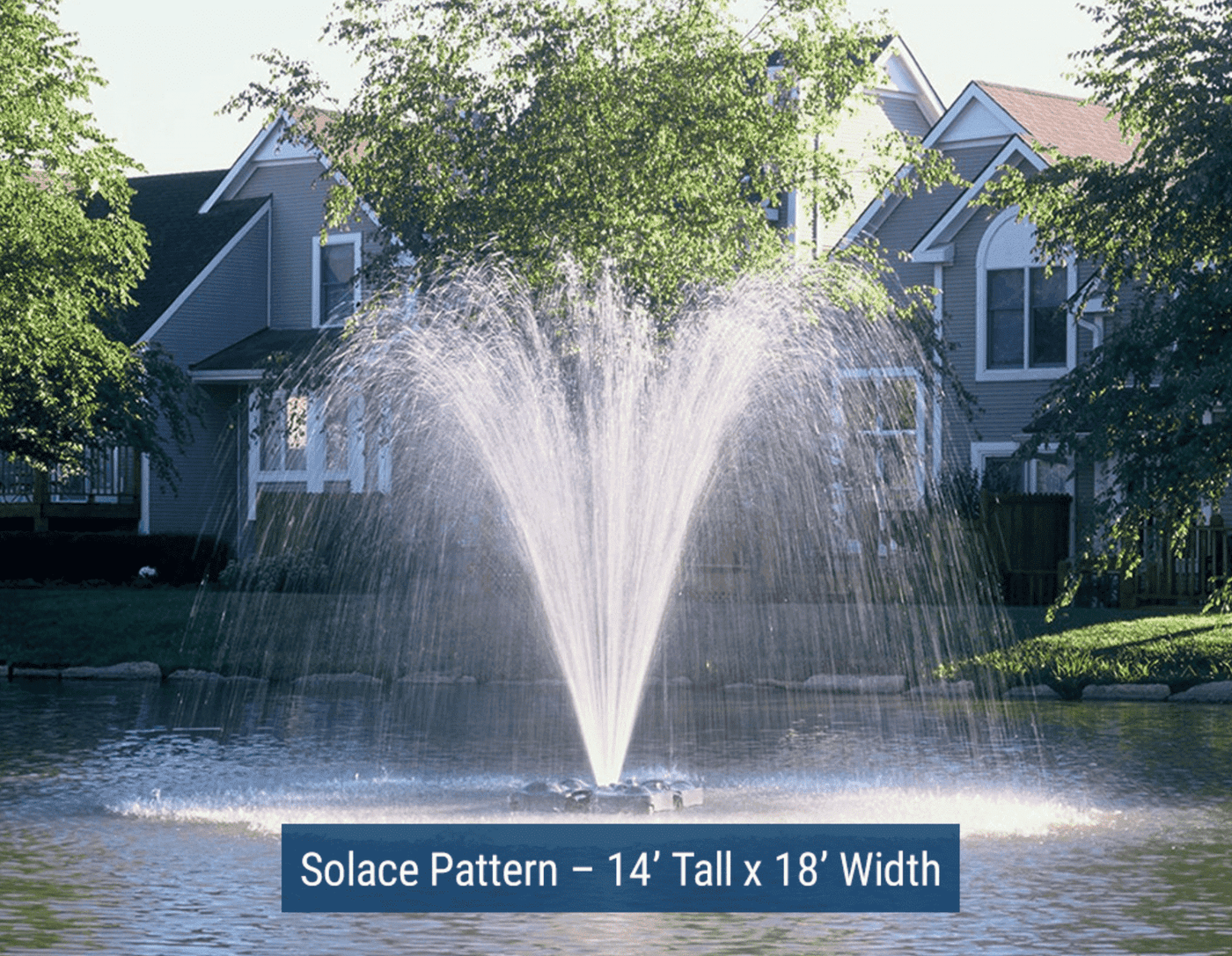 Pros and Cons of Lily Pads in your Pond (2025) – ProtoPond