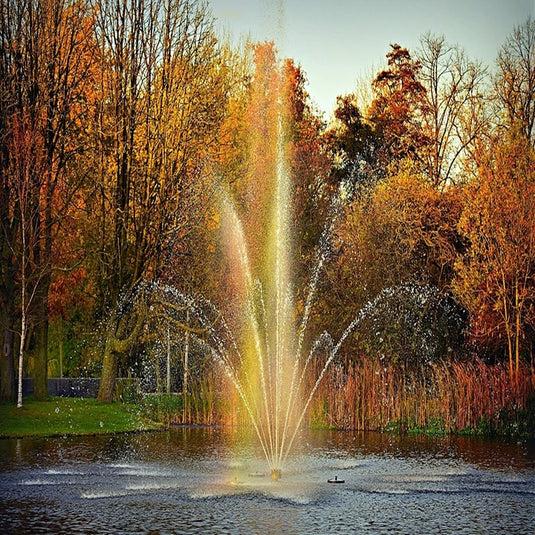 ProtoPond | Pond & Lake Management