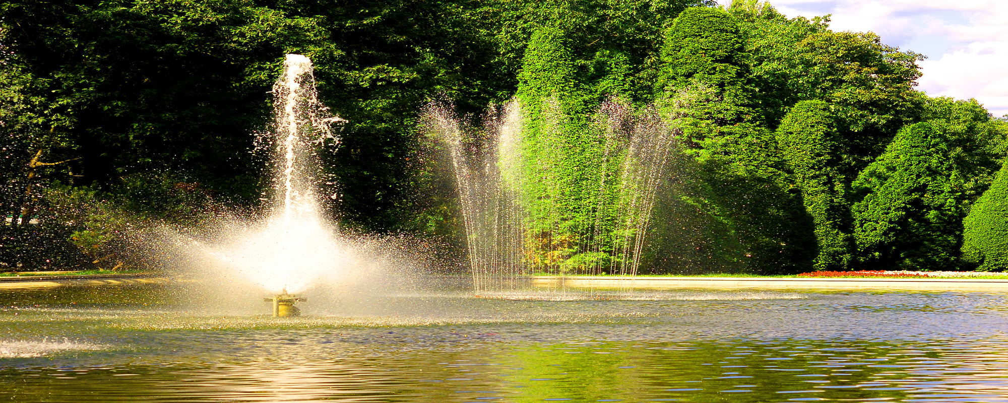 ProtoPond | Pond & Lake Management
